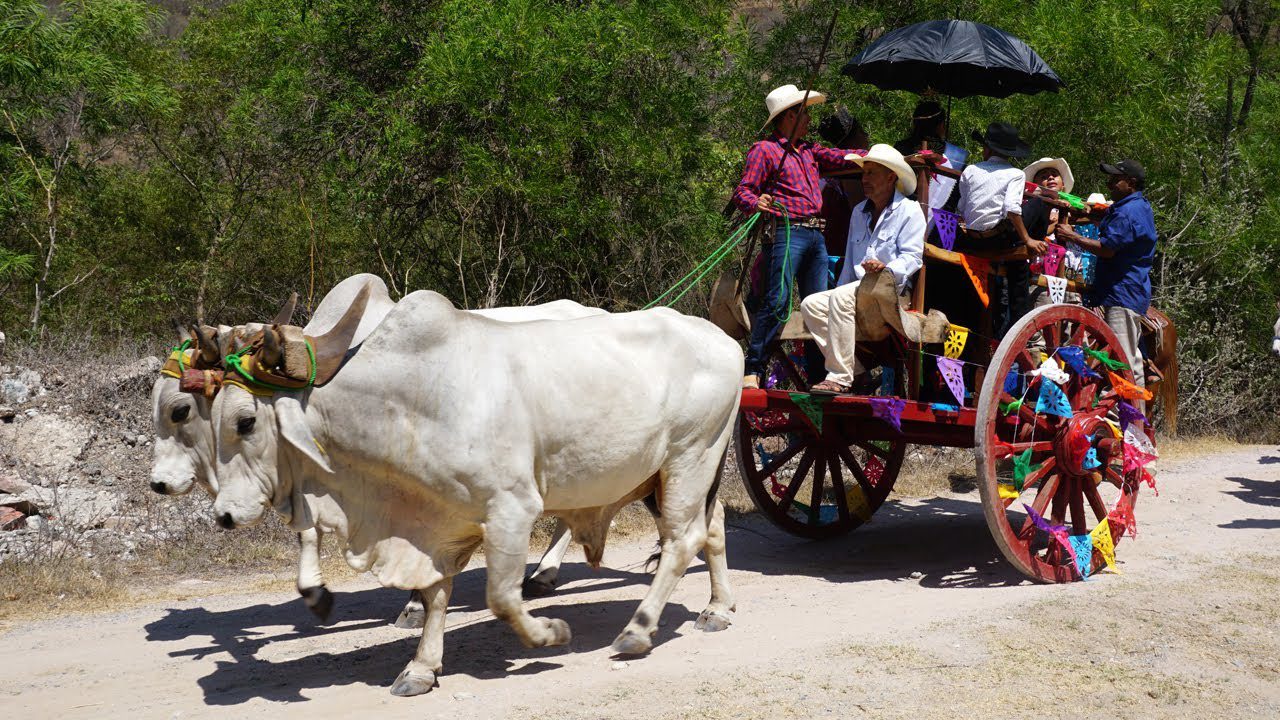 Las 10 Tradiciones Puertorriqueñas que Debes Conocer: Cultura y Costumbres de Puerto Rico ...