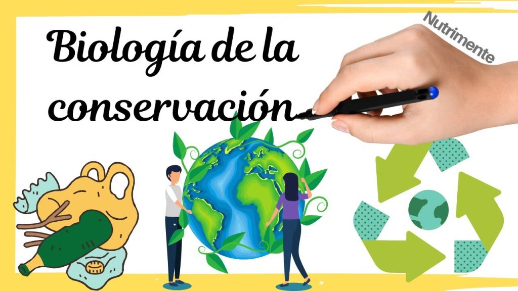 Descubre los Últimos Avances en Biología de la Conservación: Lo que ...